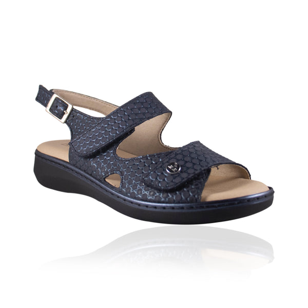 005000 - El Borcegui